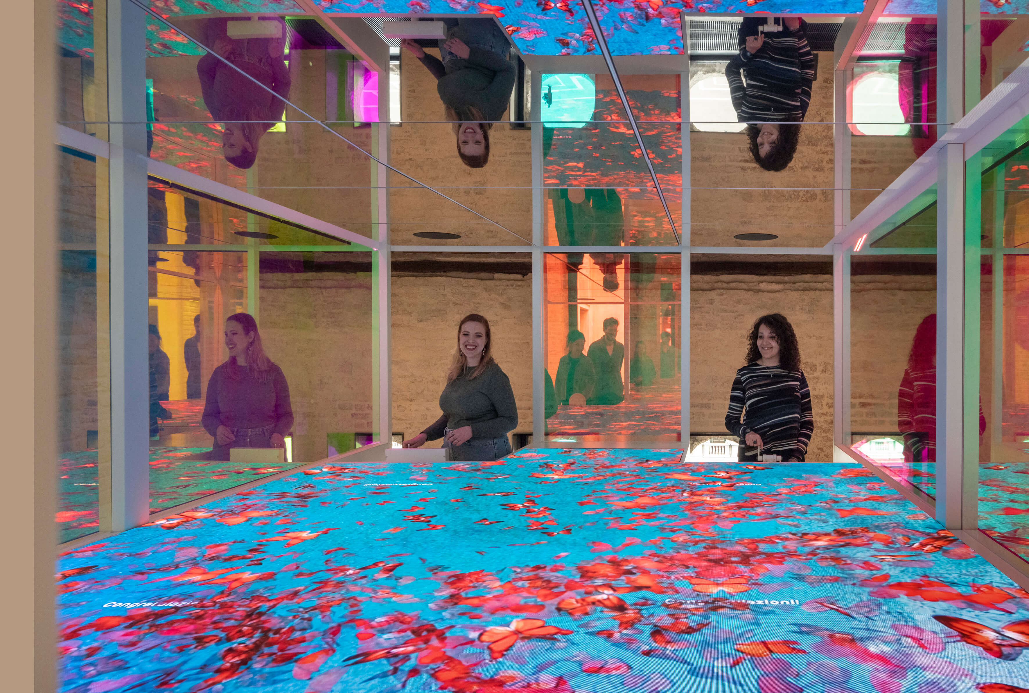 The project | The Human Safety Net