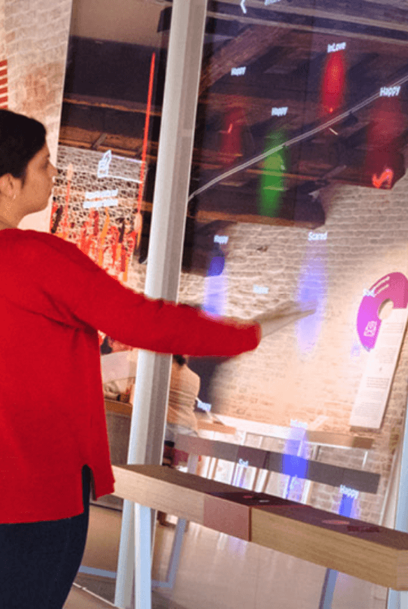 The project | The Human Safety Net