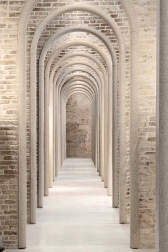 The project | The Human Safety Net